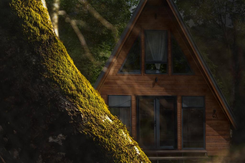 Qedi Cottages, Nakiyeti (updated prices 2025)