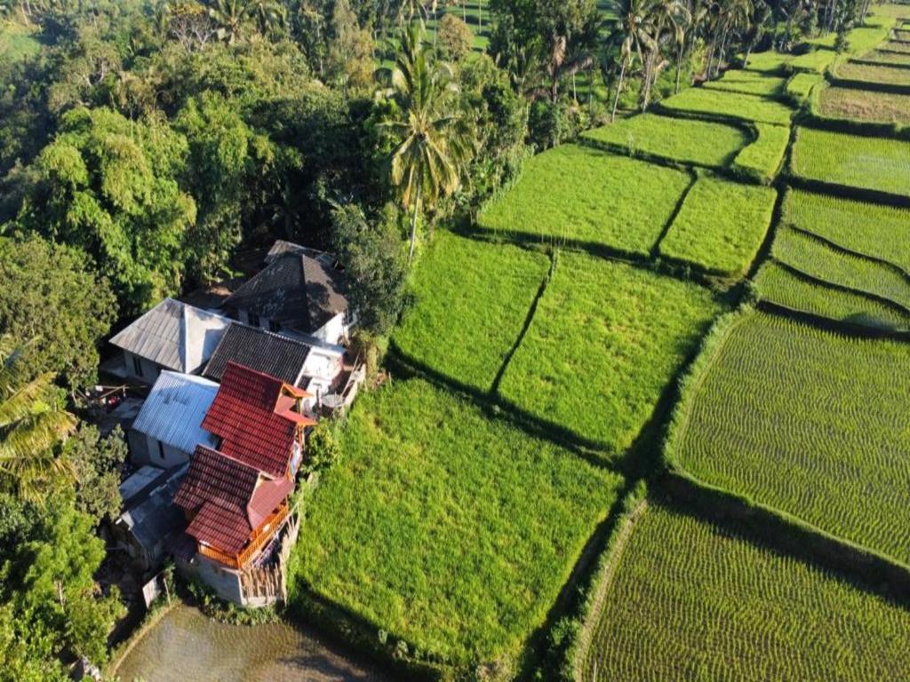 Jonny's House, Tetebatu – Updated 2023 Prices