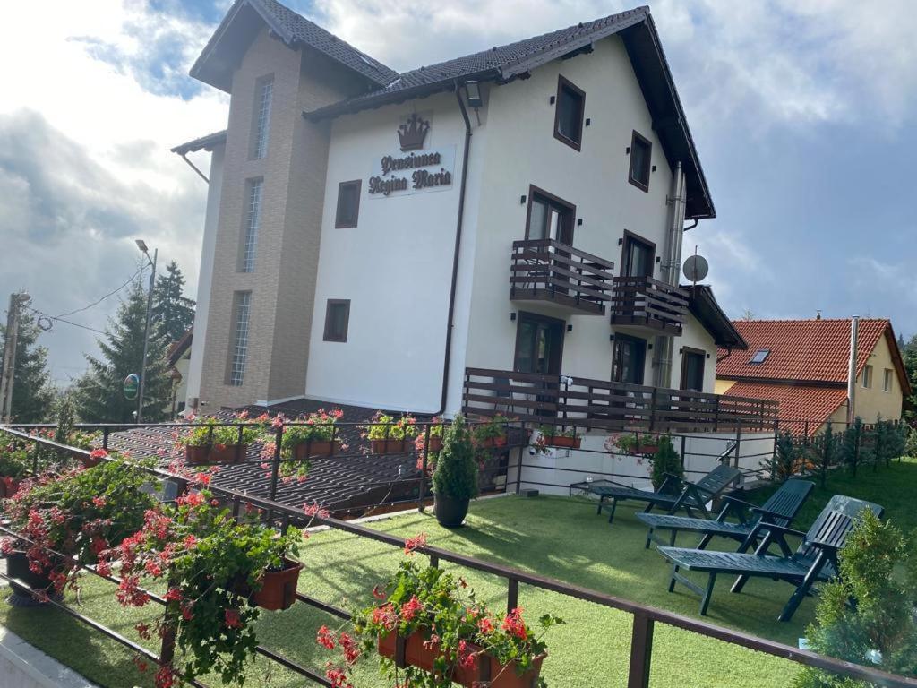 PENSIUNEA REGINA MARIA PALTINIS, Păltiniş (updated prices 2026)