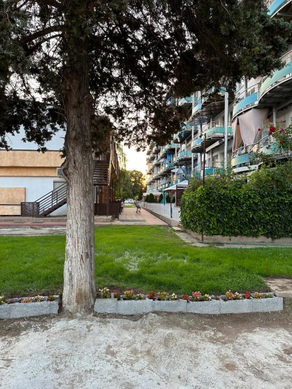 Dika Sofia Residence, Mangalia (updated prices 2024)