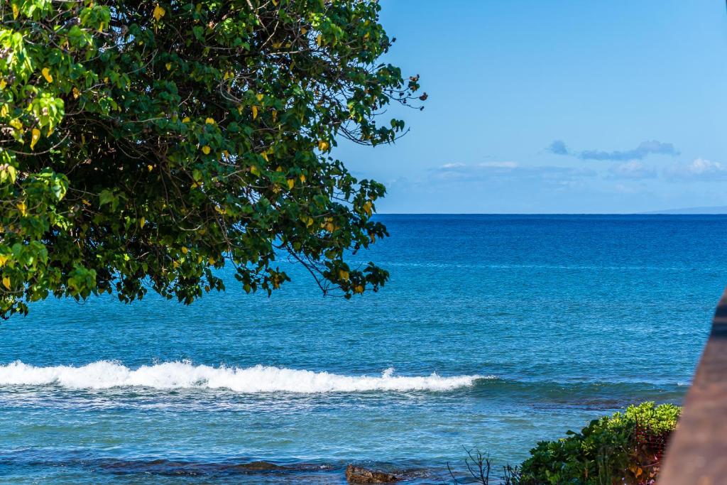 Hale Kai 208, Kahana (updated prices 2025)