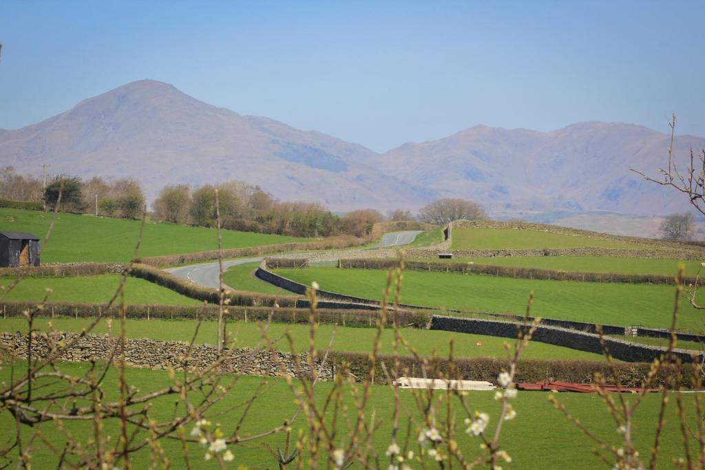 The Red Lion, Lowick Green (updated prices 2025)