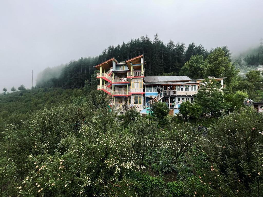 TrippyFly Homestay & Backpackers Hostel, Manali (precios actualizados 2024)