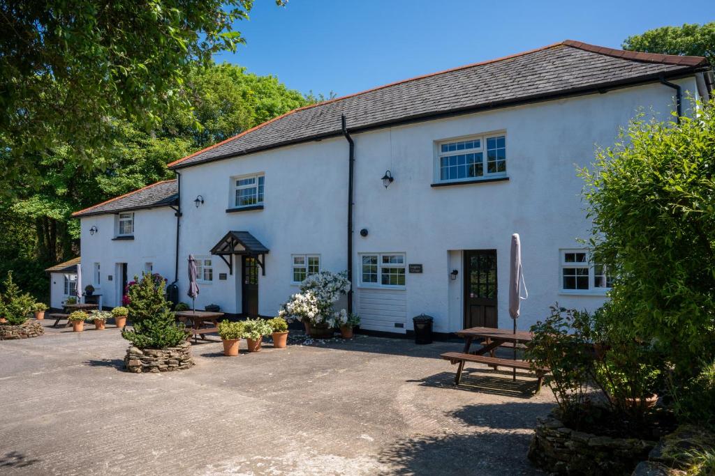 Bluebell, Week Saint Mary (updated prices 2025)