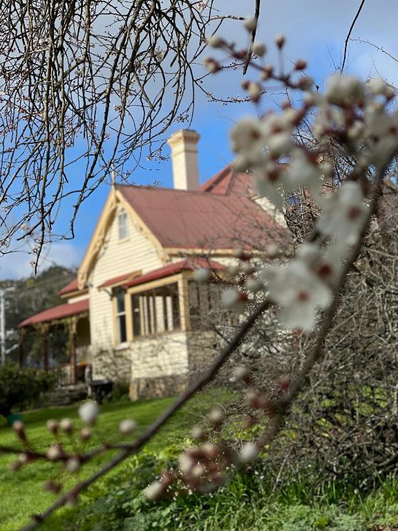 Cambridge House Breakfast & Bed - Tasmania