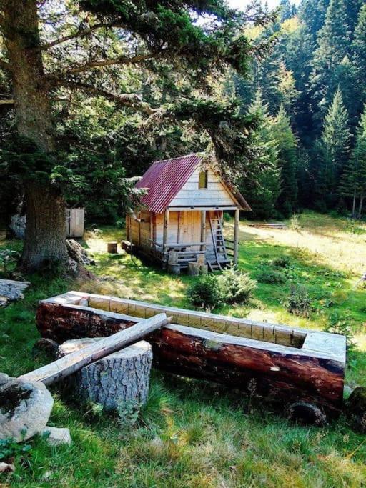 Domaćinstvo Pešića, Beran Selo (updated prices 2026)