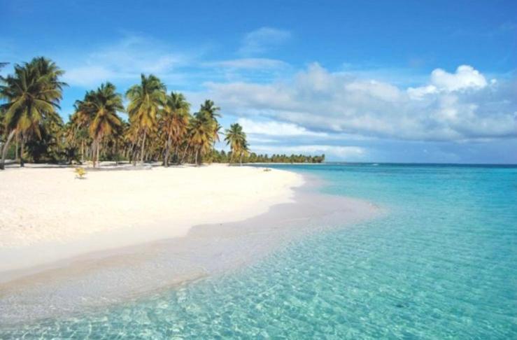 Beautiful Stylish Apartment Near The Beach - Caribbean