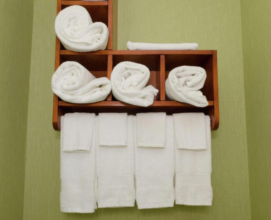 Hampton Inn Towel Rack