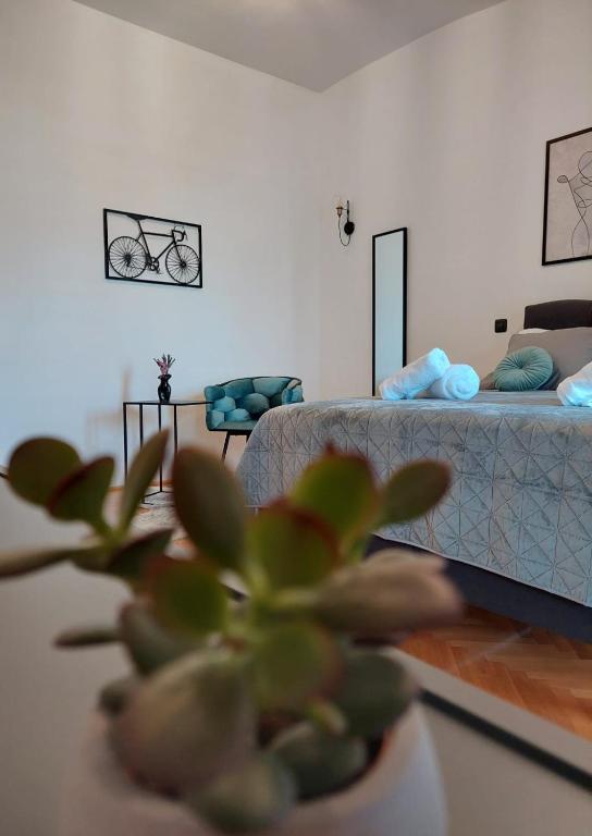 Studio Apartman Kiara, Zadar (updated prices 2026)