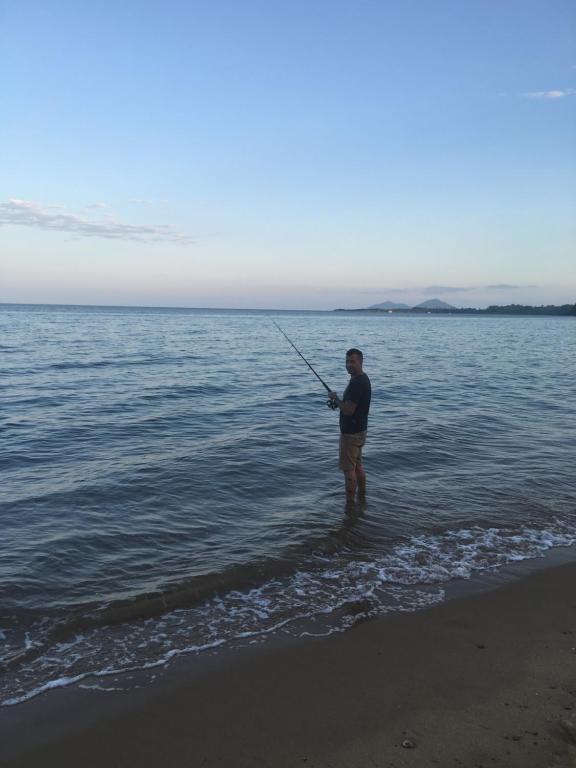 Jackaroo Treehouse Rainforest Retreat, Mission Beach (updated prices 2025)