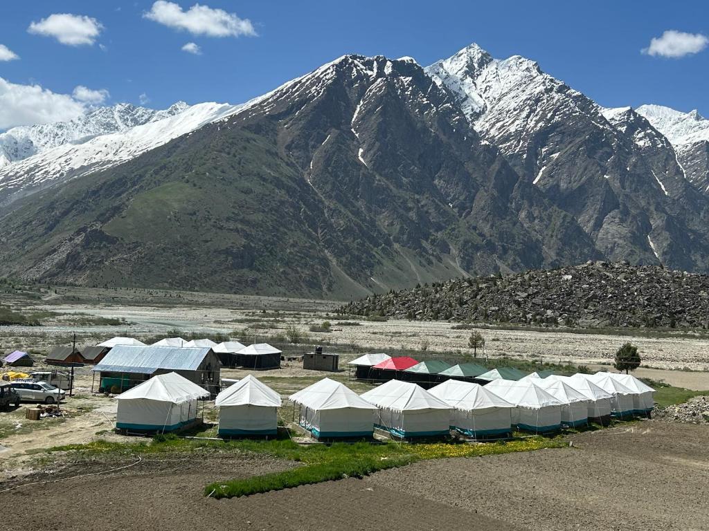 Bhrigu Camps, Jispa (updated prices 2026)