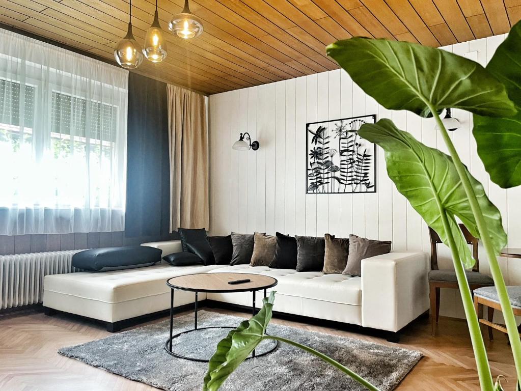 Papas Apartment, Lesce (updated prices 2025)