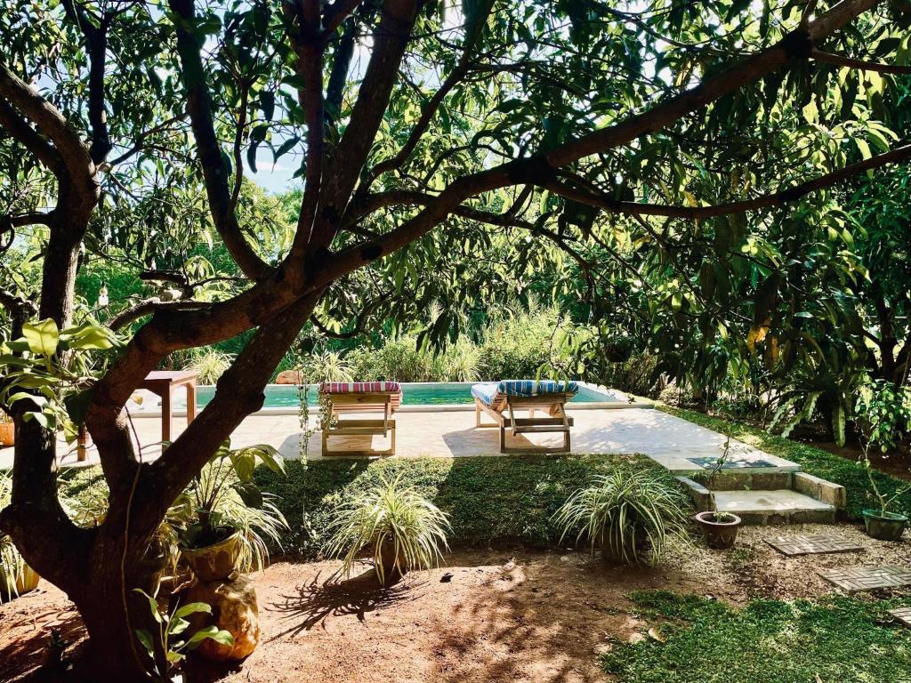 Shan Mango Homestay, Sigiriya (updated prices 2025)