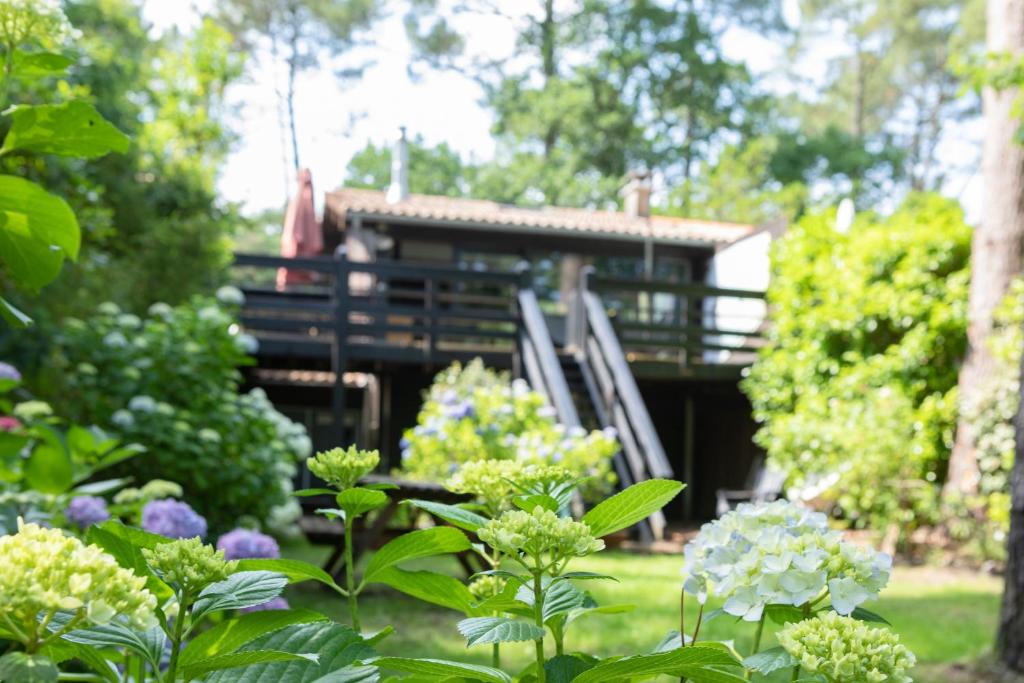 chalet boucane, Lacanau – Updated 2023 Prices