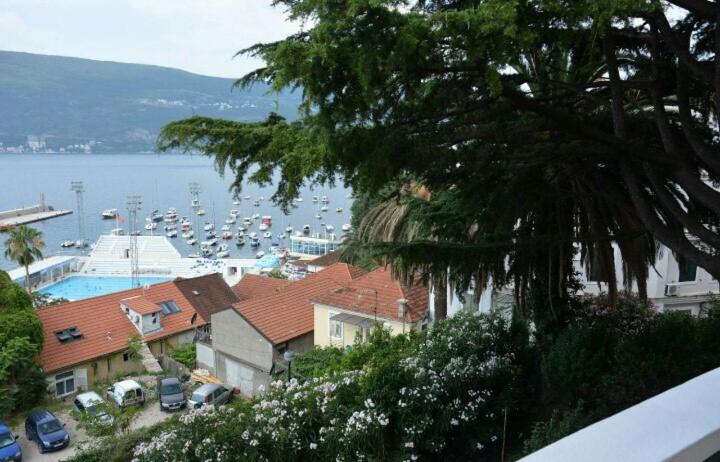 Mr Perfect, Herceg-Novi (updated prices 2026)