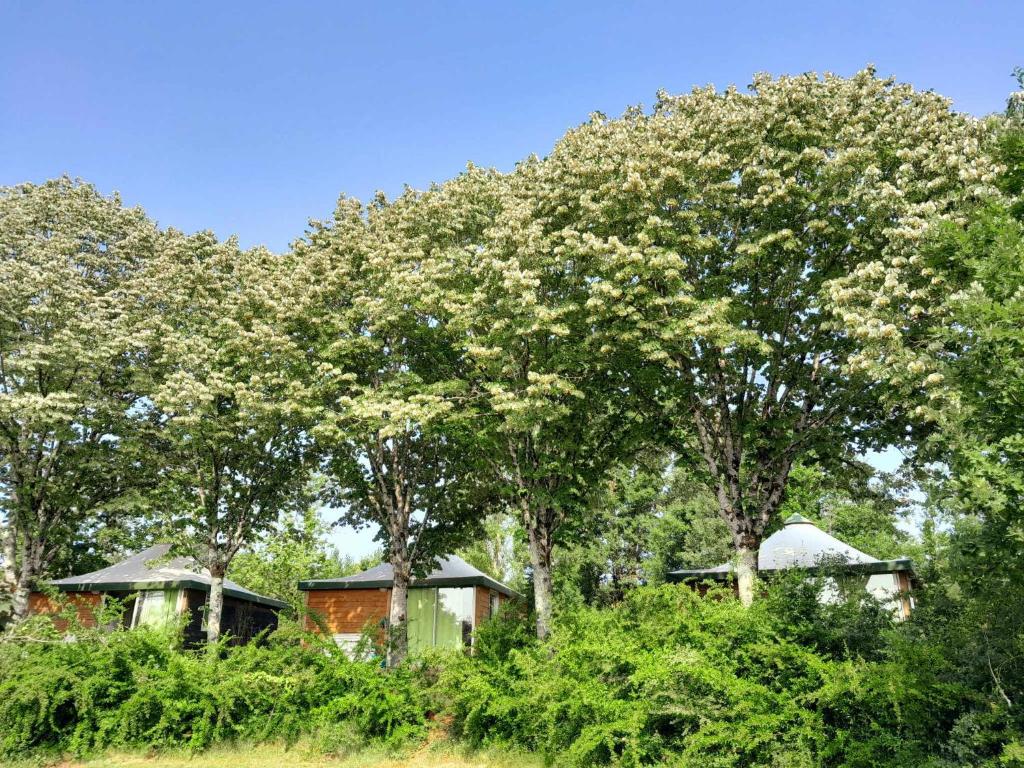 Les Auzerals camping du lac, Rabastens (updated prices 2024)