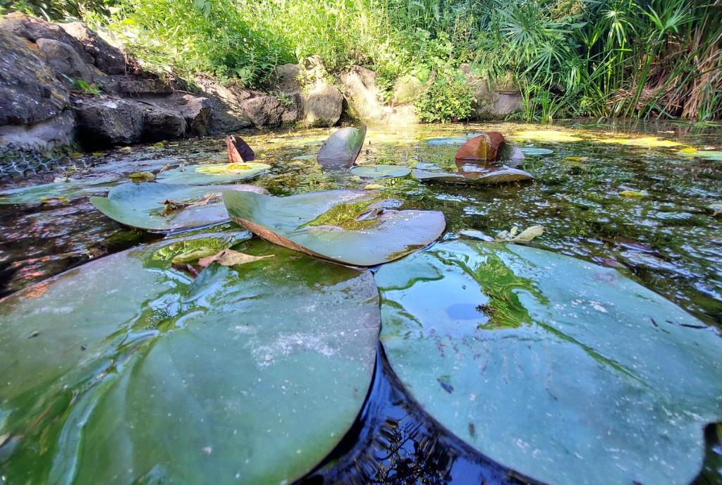 Giardini Penelope Resort e Spa, Ciampino (updated prices 2025)