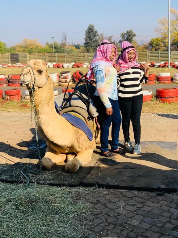 Ten Flags Theme Park, Kroondal (updated prices 2025)