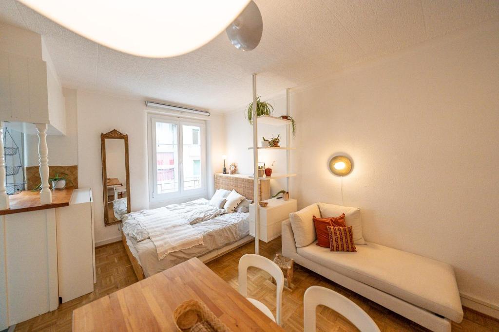 Beautiful central apartment steps from lake and water jet, Geneva ...