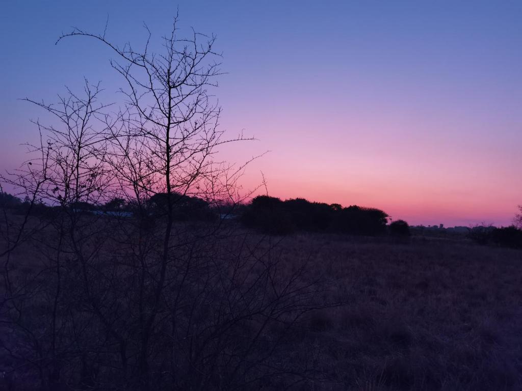 Kings View Exclusive Villas (KVEV), Petronella (updated prices 2025)