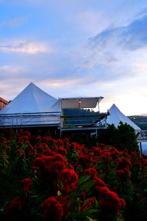 Mon Jam Memory Camp, Mon Jam (precios actualizados 2025)