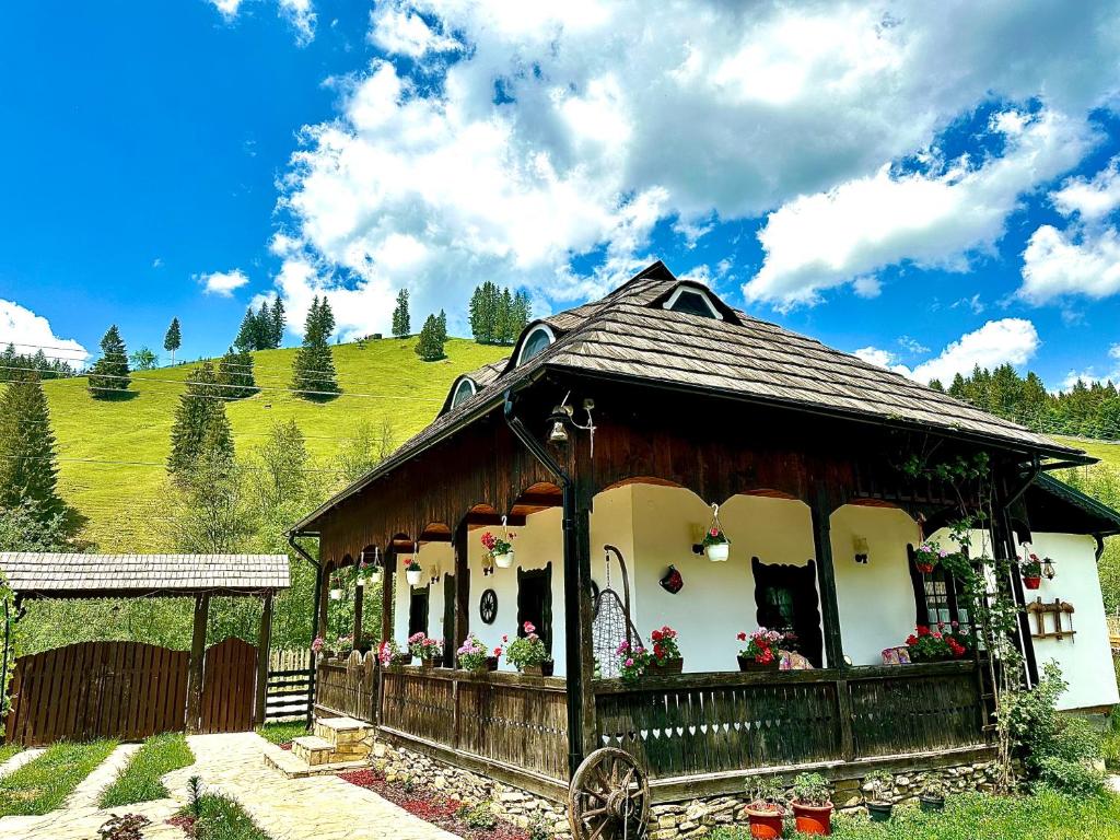 Casa Gabriel, Frumosu (updated prices 2025)