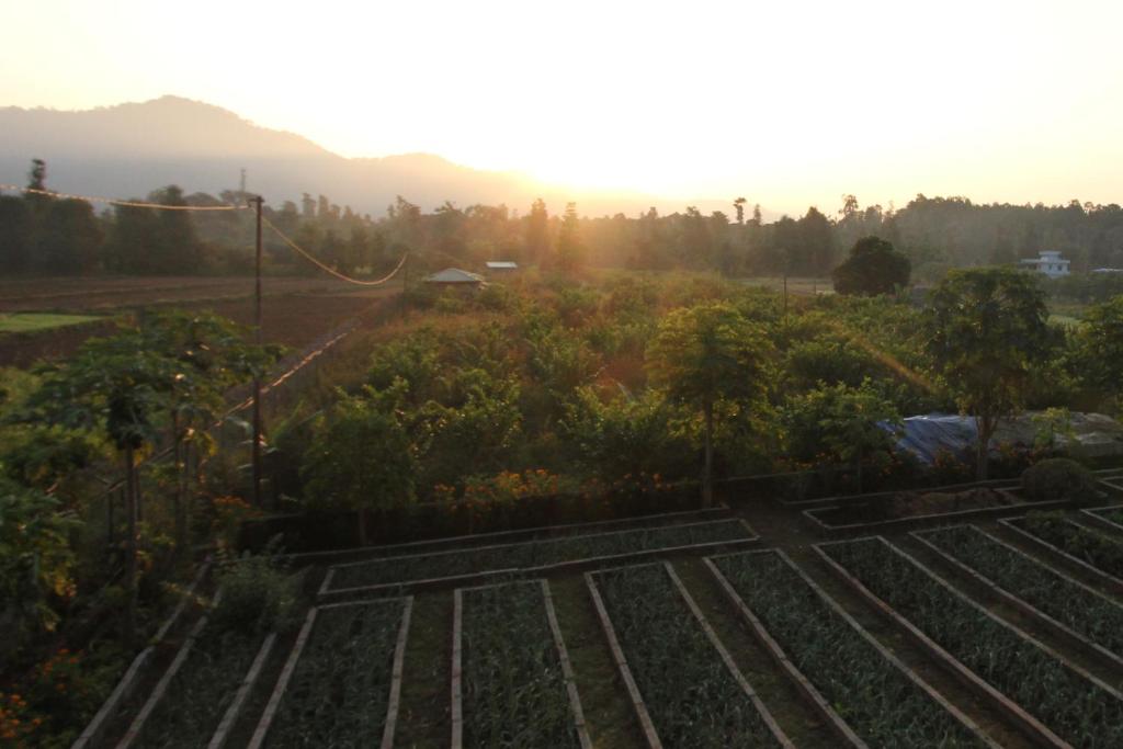 Forest Side Farm - Homestay at Kotabagh Near Nainital and Jim Corbett ...