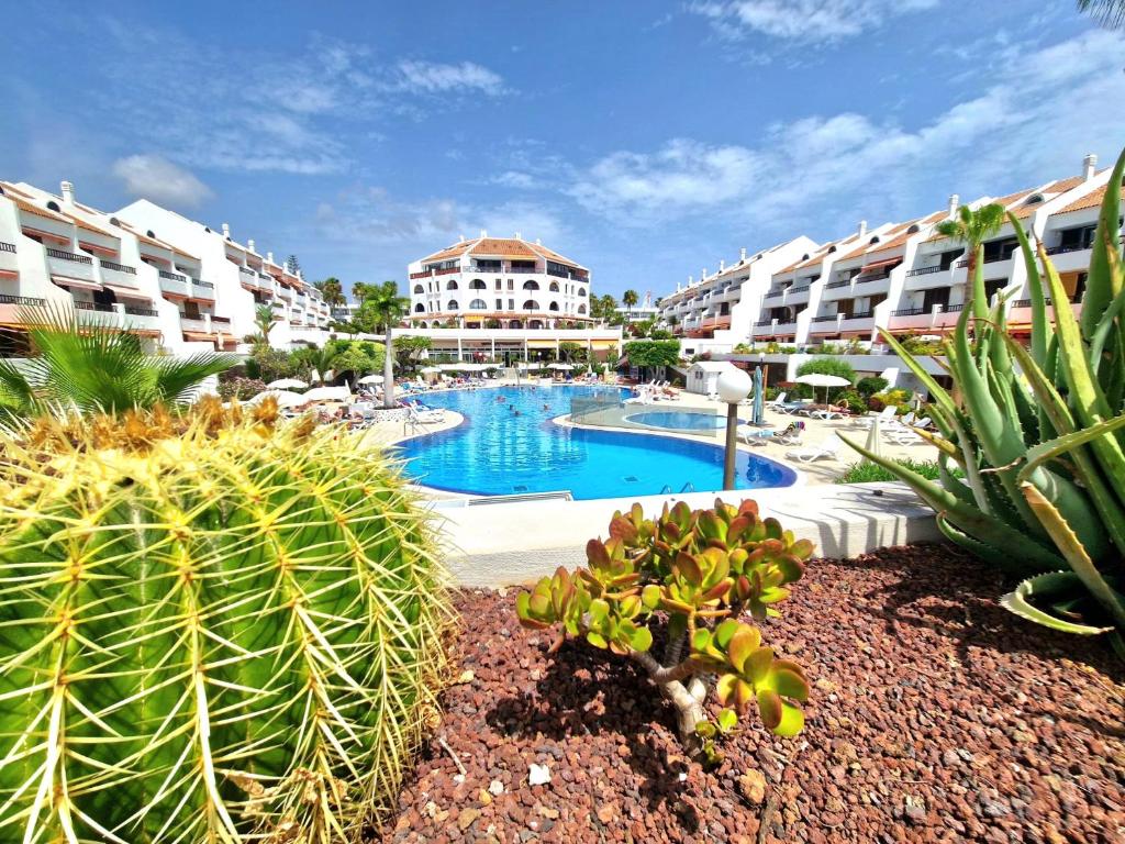 Parque Santiago 1 F-348 by TENERIFE DREAM PROPERTIES, Playa de las ...