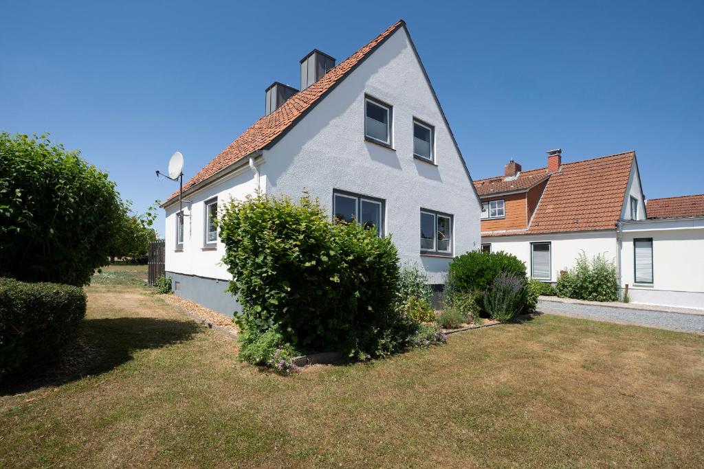 Smilla, Grube (updated prices 2025)