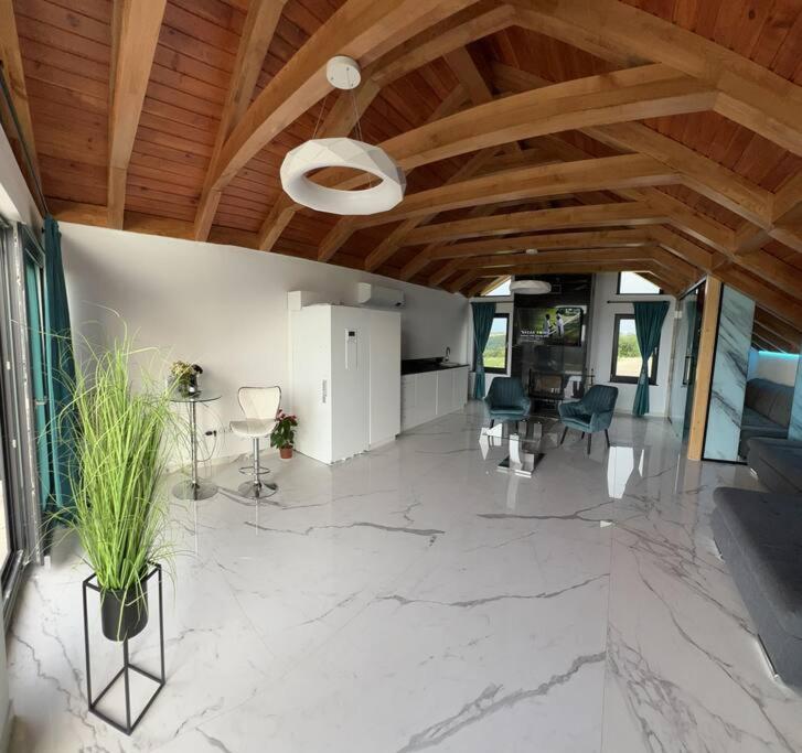 Casa moderna in Sinteu - intersectia intre modern si linistea naturii ...