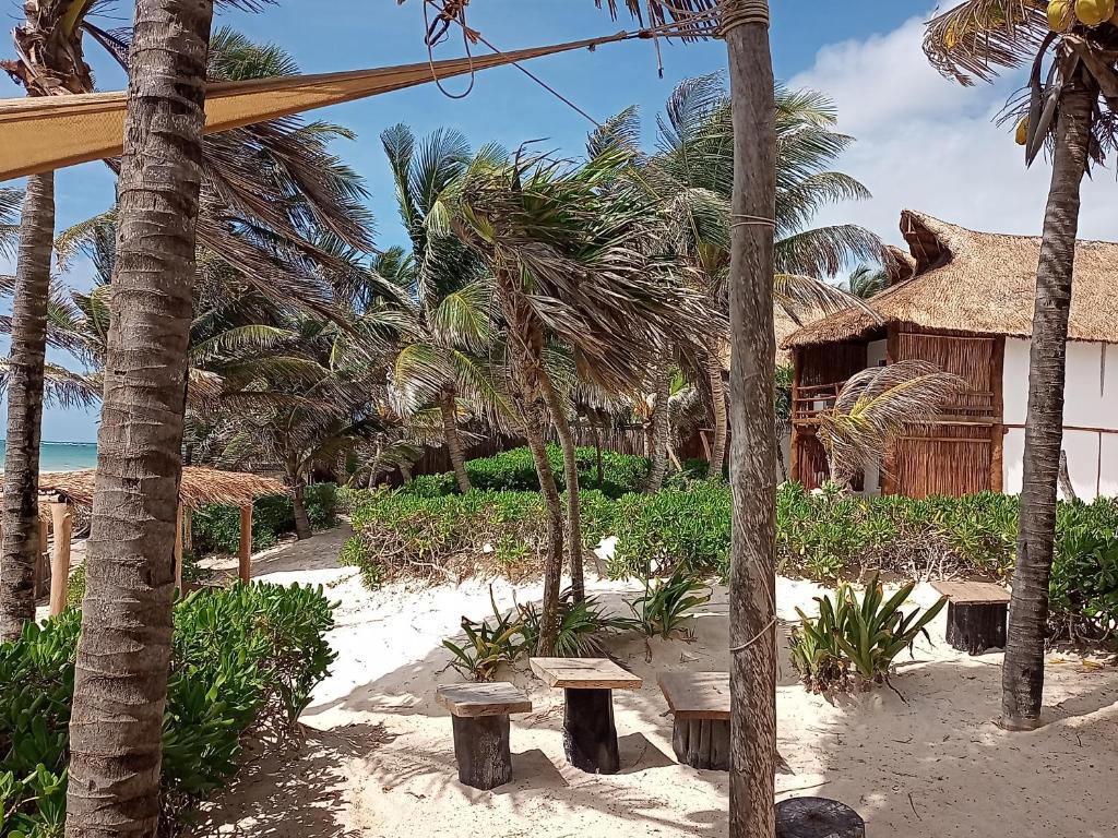 Niken Beachfront Tulum Hotel, Tulum (updated prices 2025)