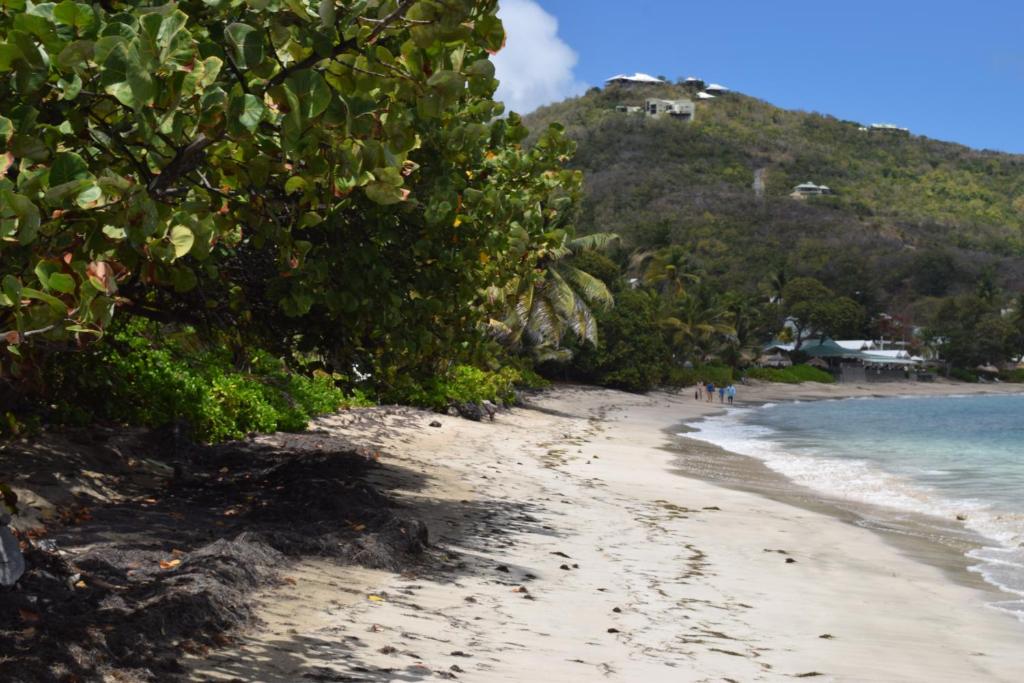 Wild Lotus Glamping, Friendship (preços atualizados para 2024)