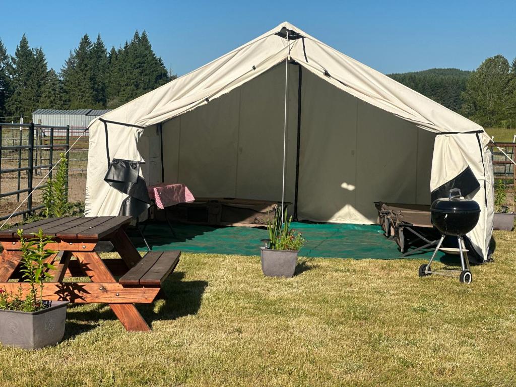 Cowboy camp at 3G Farms - SuiteTrails