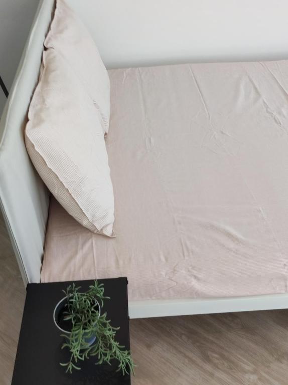 Divine Room, Faro (updated prices 2025)