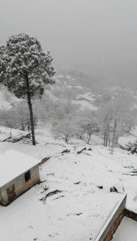 Navid's Holiday Resort and Hotel, Murree, Ghora Gali (updated prices 2025)