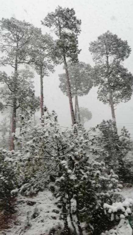 Navid's Holiday Resort and Hotel, Murree, Ghora Gali (updated prices 2025)