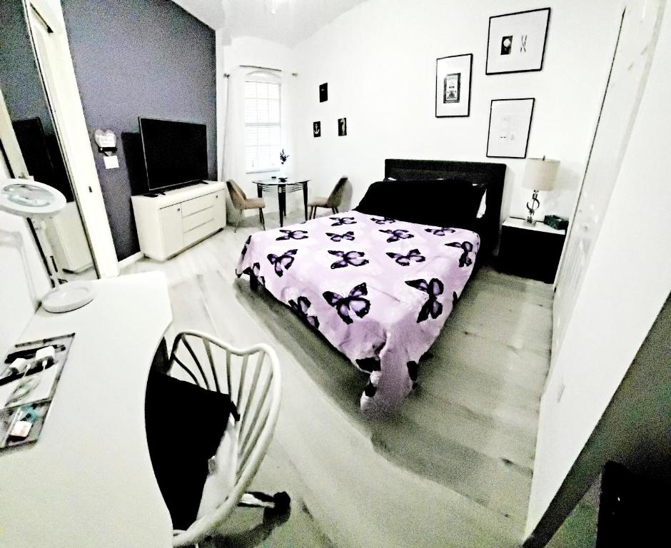 oooooooo, Sarasota (updated prices 2025)