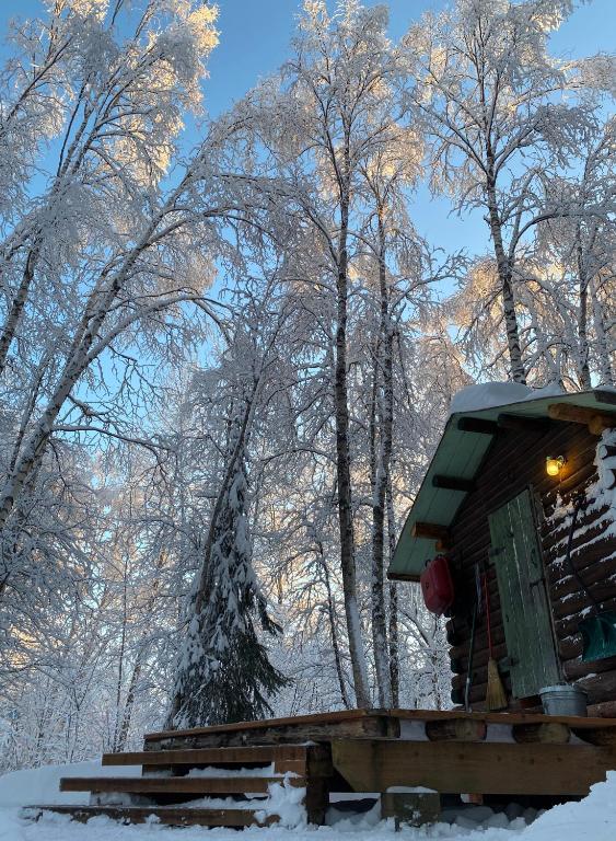 Trapper John's Cabin & Cottages, Talkeetna (updated prices 2025)