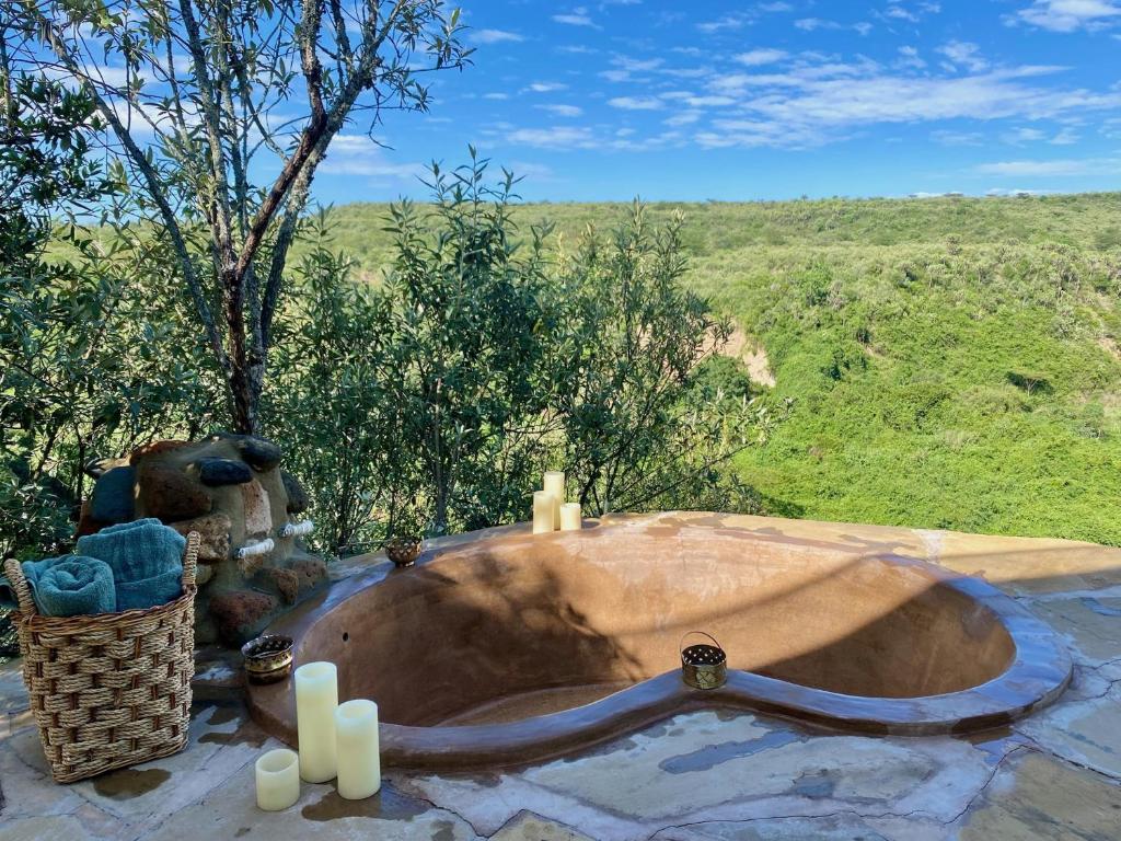 Echoes of Eden: Forest Haven, Melewa – Updated 2023 Prices