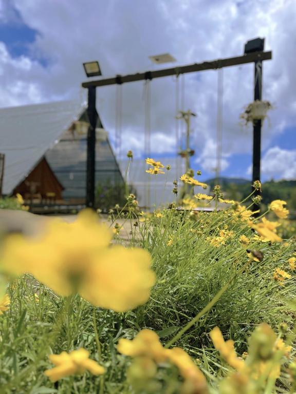 The Backyard Glamping Cameron Highlands, Tanah Rata (updated prices 2025)