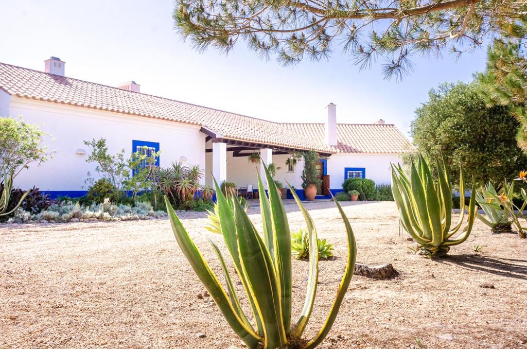 Casa Oleandra, Melides – Updated 2024 Prices