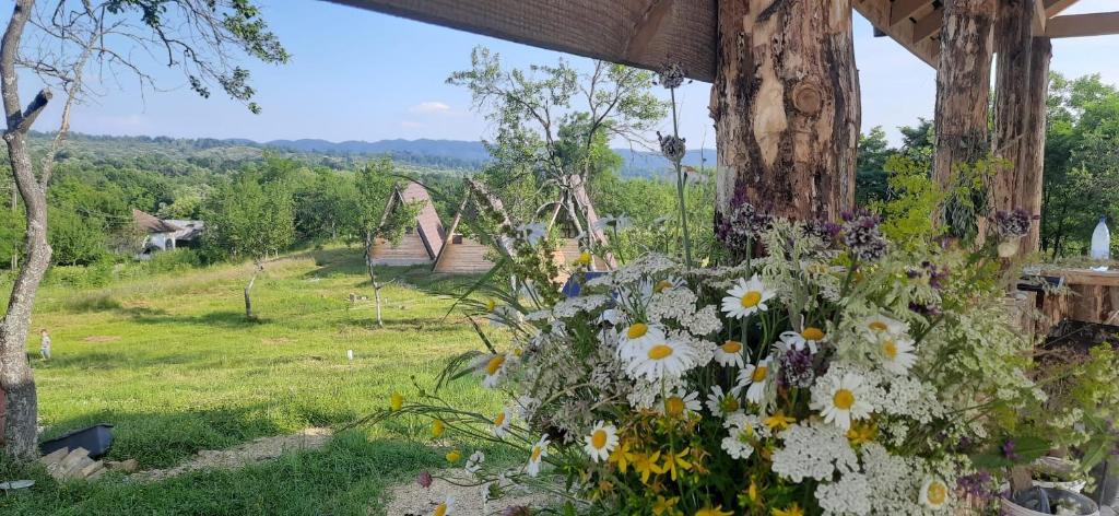 Horezu Cozy Cabin, Izvoru Rece (updated prices 2025)