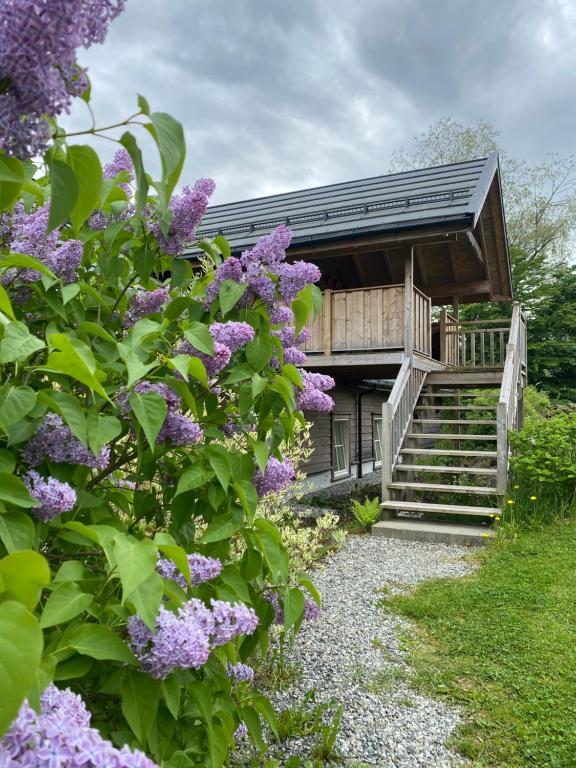 Store Ringheim Hotel og Restaurant, Vossevangen (updated prices 2025)