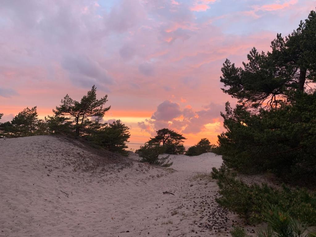 Przyczepy Camping Kormoran - Hel - Półwysep Helski, Hel (aktualne ceny ...