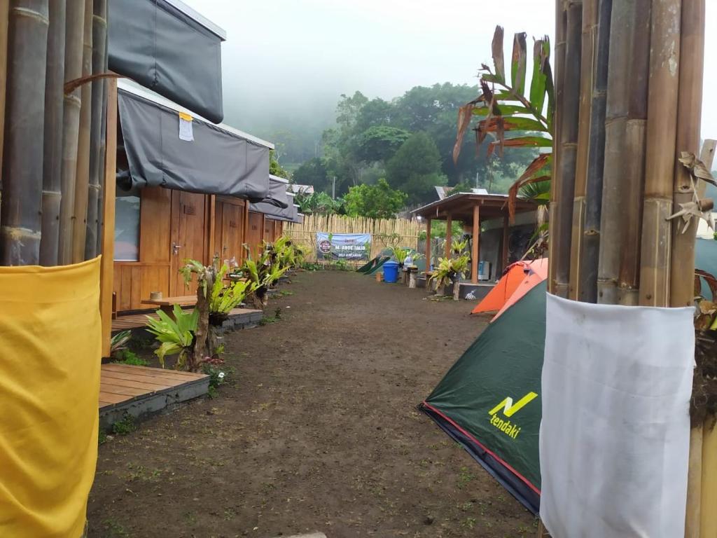 BSG, Kubupenlokan (updated prices 2025)