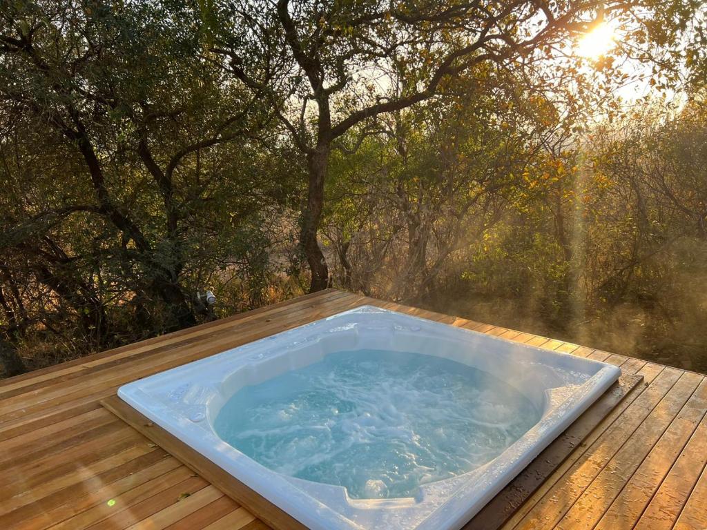 Shasha Lodge, Mabalingwe Game Reserve, Mabula (updated prices 2025)