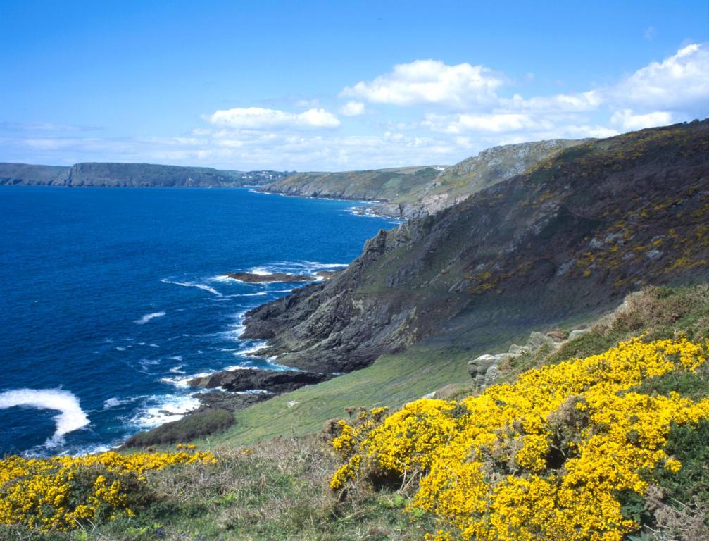 The Flower Mill Cornwall | Best Flower Site