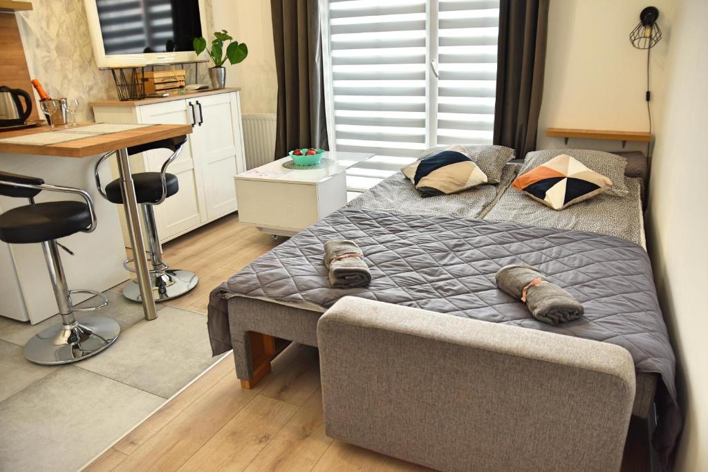 Pucki flaming, Puck – Updated 2024 Prices