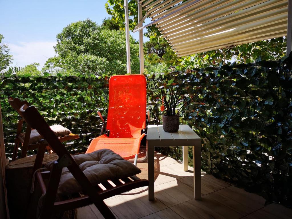 TETA NEDA, Omiš (updated prices 2025)