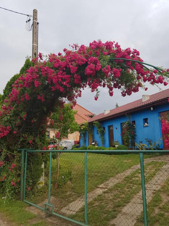 Agroturystyka Jagoda, Kołczewo (aktualisierte Preise für 2025)